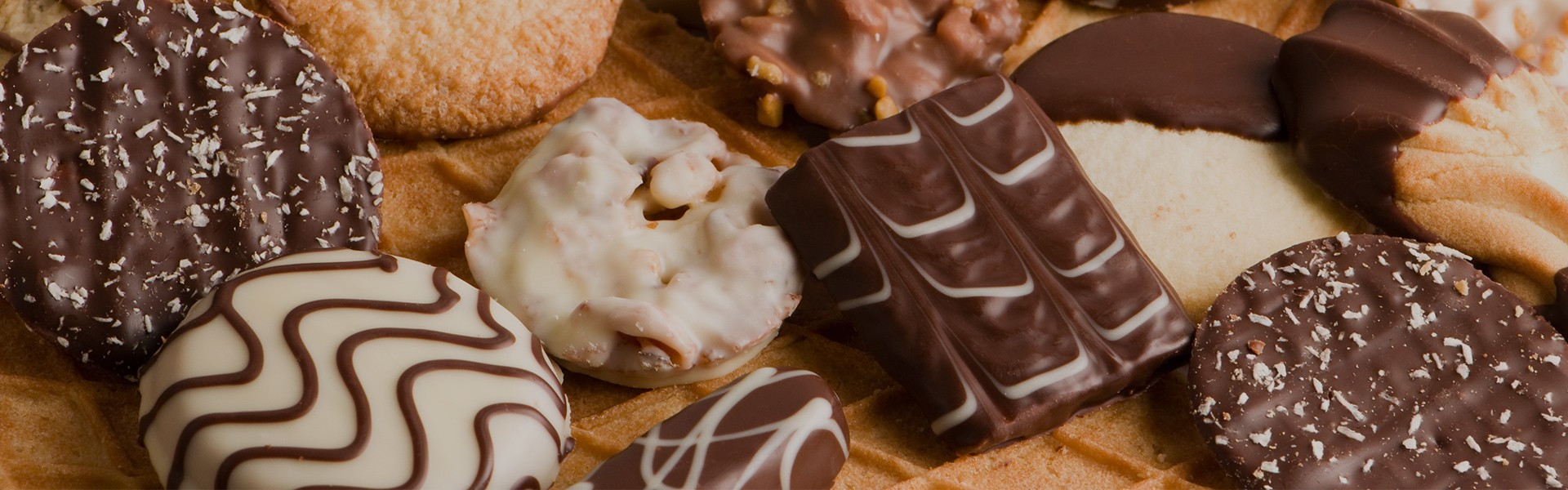 Rainbow Asset Ltd. & Metro Alliance Ltd. | 金寶麗